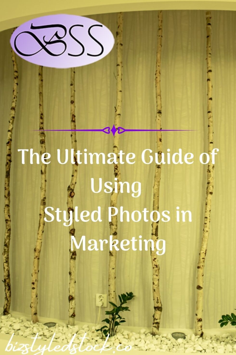 The Ultimate Guide of Using Business Stock Images in Marketing